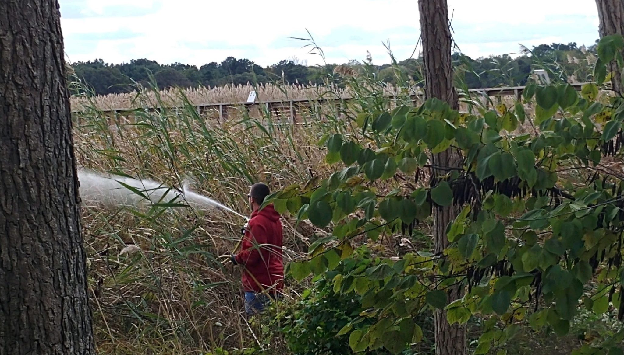 Eastern Shore Landscaping, Lawn Care and Maintenance.